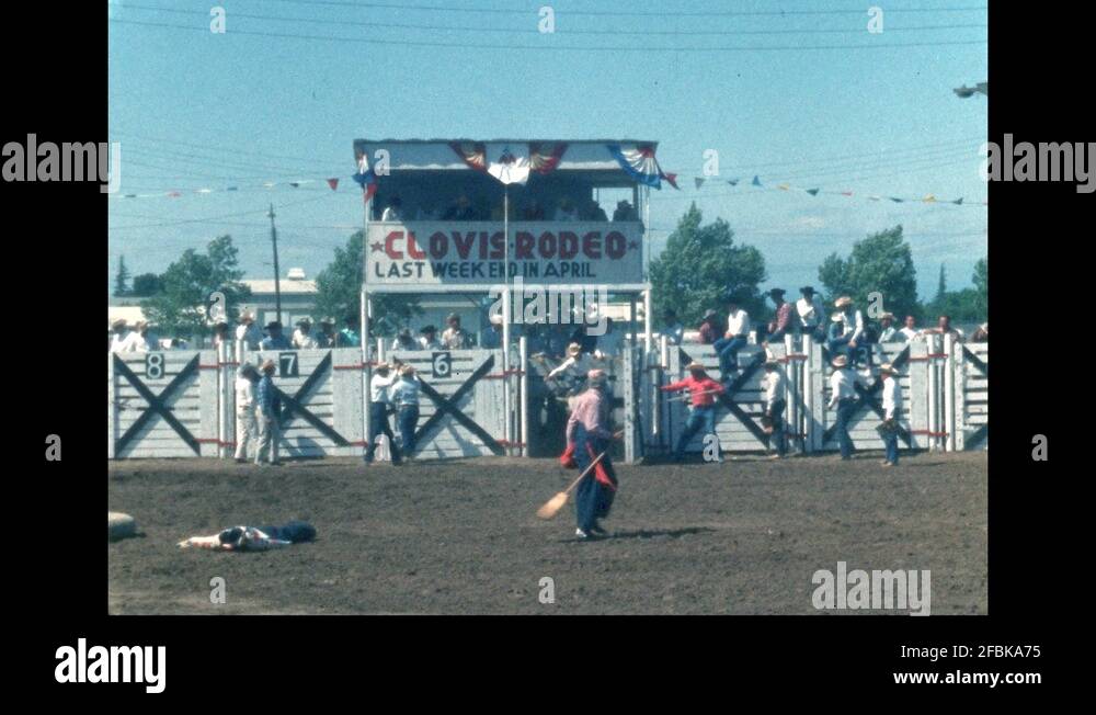 1950s: Men open gates at rodeo. Bull rider falls from bull at rodeo ...