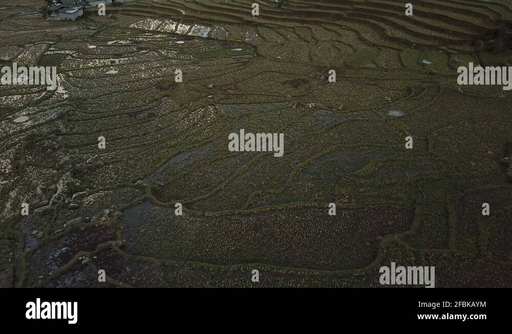 Step cultivation mountain Stock Videos & Footage - HD and 4K Video ...