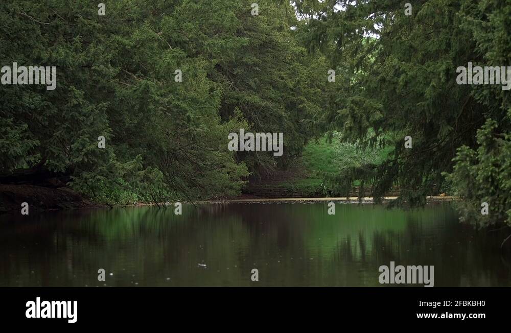 Abbey pond Stock Videos & Footage - HD and 4K Video Clips - Alamy