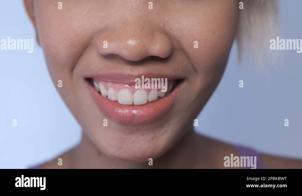 Flat nose Stock Videos & Footage - HD and 4K Video Clips - Alamy