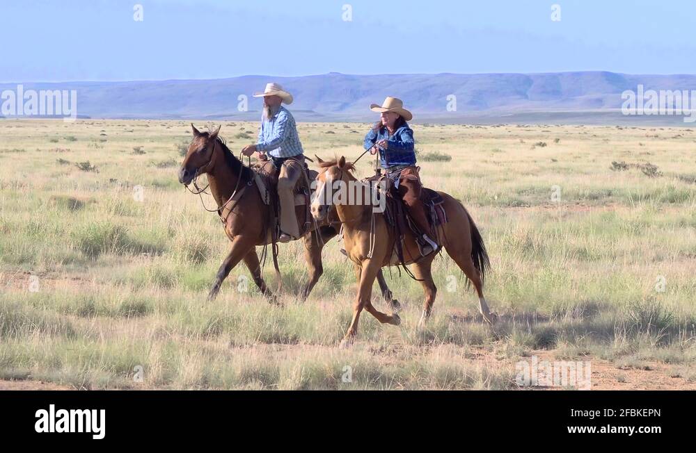 Classic Wild West scene of navigating a farm in Texas on horseback ...