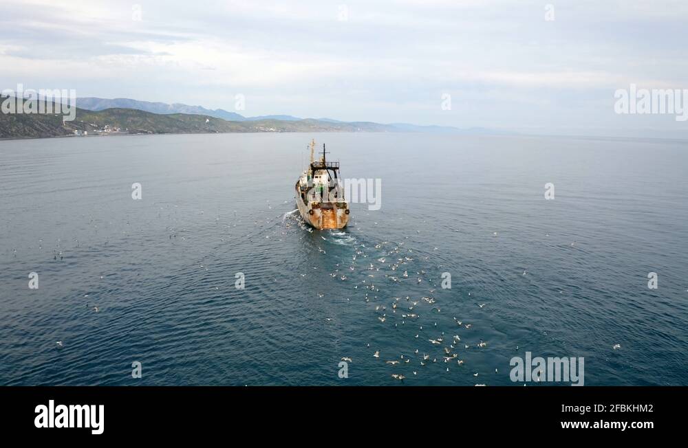 Aerial of seagull birds steal fish catch from a commercial fishing boat ...