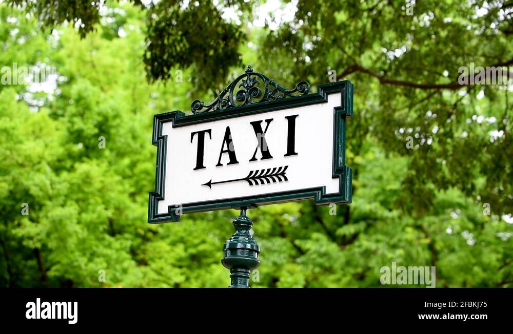 Taxi sign with arrow with blur woods in the background (zoom effect ...