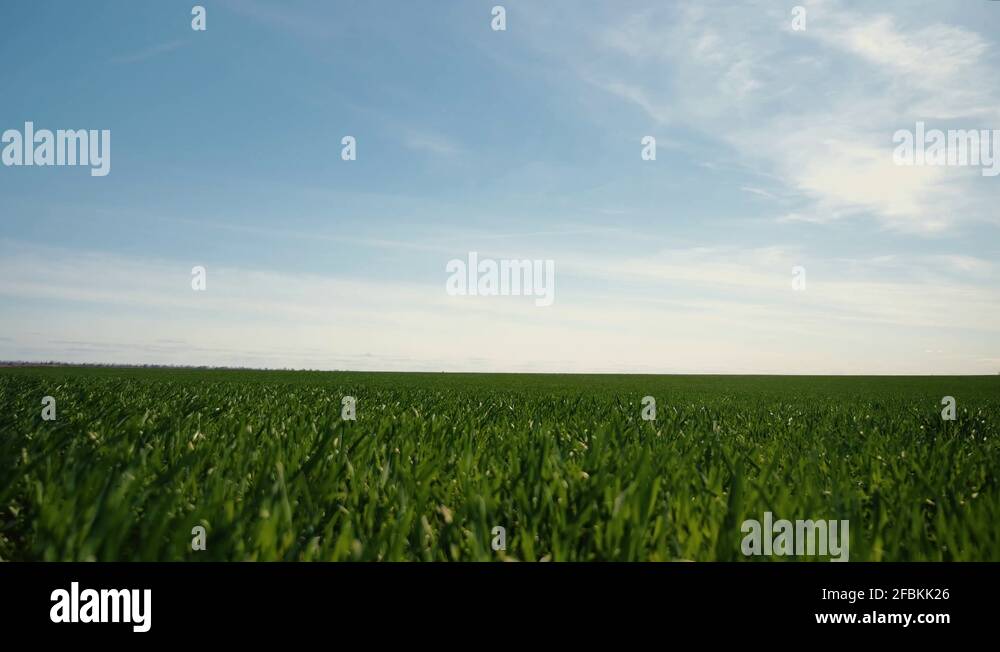 Sky farm Stock Videos & Footage - HD and 4K Video Clips - Alamy