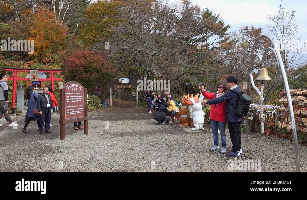 Kachi kachi Stock Videos & Footage - HD and 4K Video Clips - Alamy