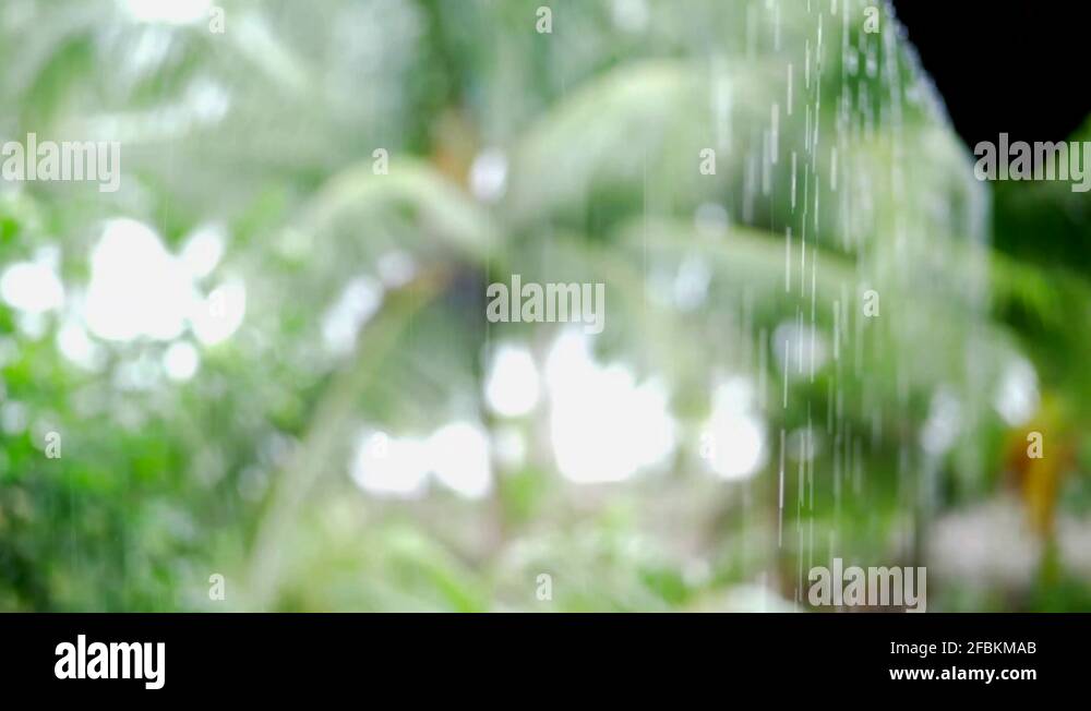 Rain falling from roof Stock Videos & Footage - HD and 4K Video Clips ...