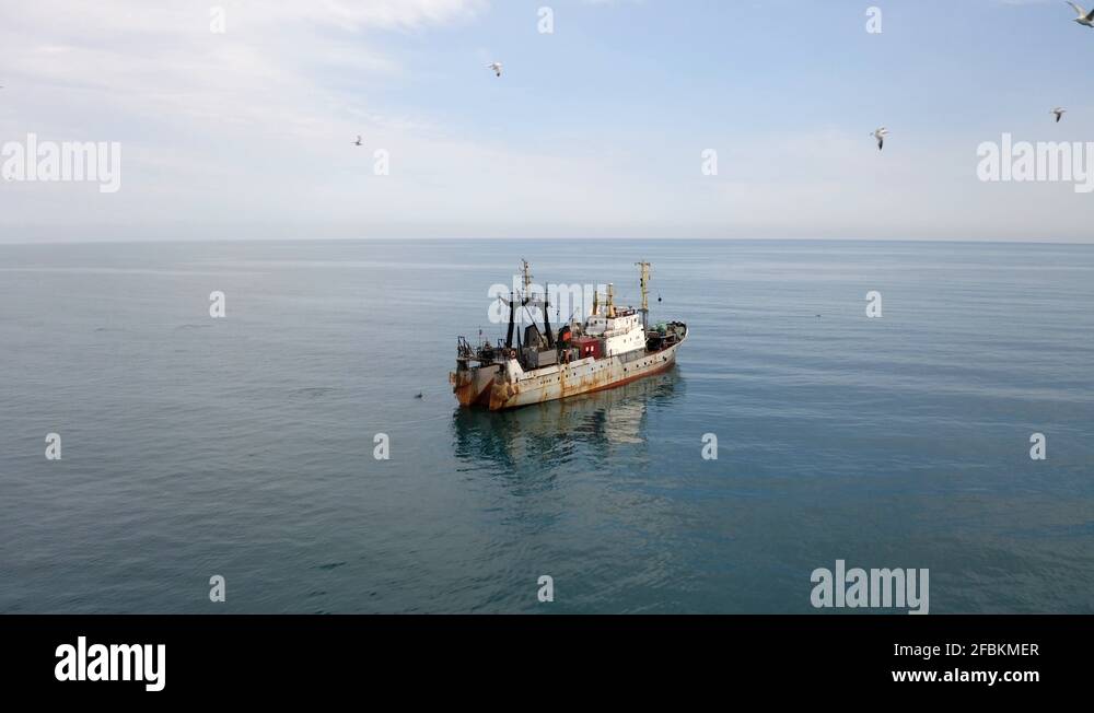 Seagull flying over fishing boat Stock Videos & Footage - HD and 4K ...