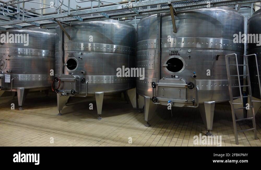 Maturation tanks Stock Videos & Footage - HD and 4K Video Clips - Alamy