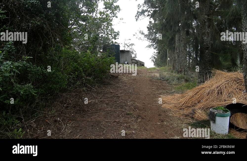 Road boundary Stock Videos & Footage - HD and 4K Video Clips - Alamy