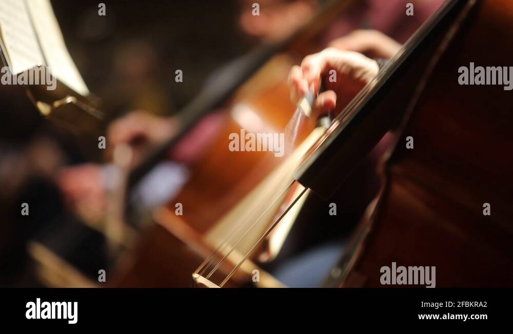 Performer performing person Stock Videos & Footage - HD and 4K Video ...