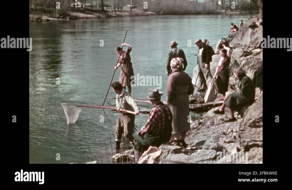 Dump fish Stock Videos & Footage - HD and 4K Video Clips - Alamy