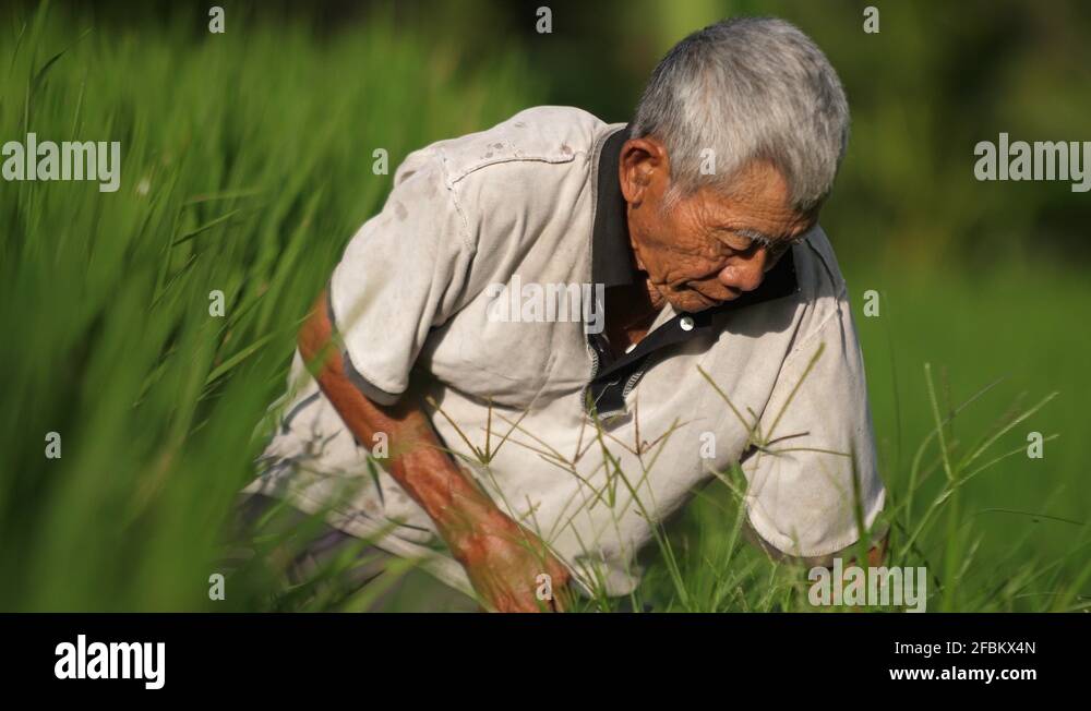 Weathered old man Stock Videos & Footage - HD and 4K Video Clips - Alamy