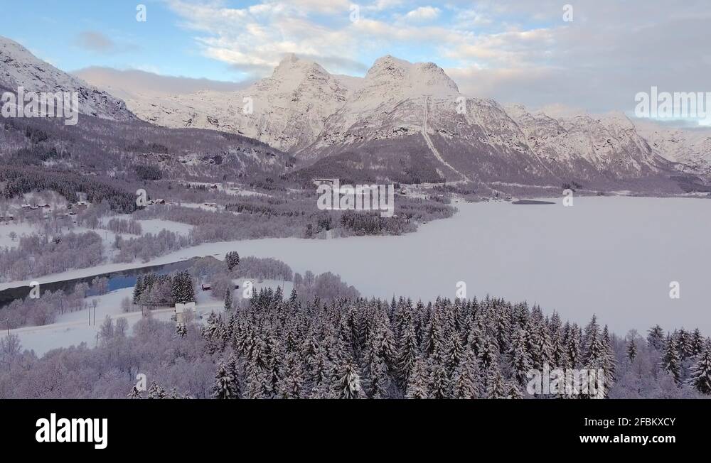 Aerial Backward of Cold Region of Lofoten Norway Full of Pine Trees ...