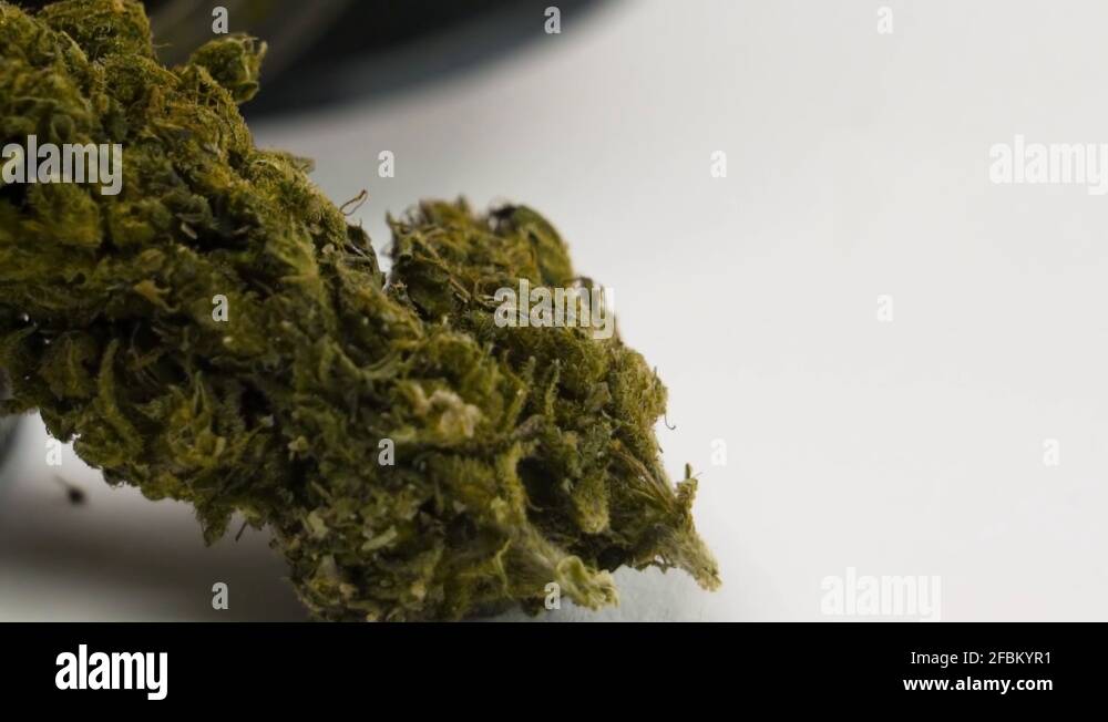 Weed nugget Stock Videos & Footage - HD and 4K Video Clips - Alamy