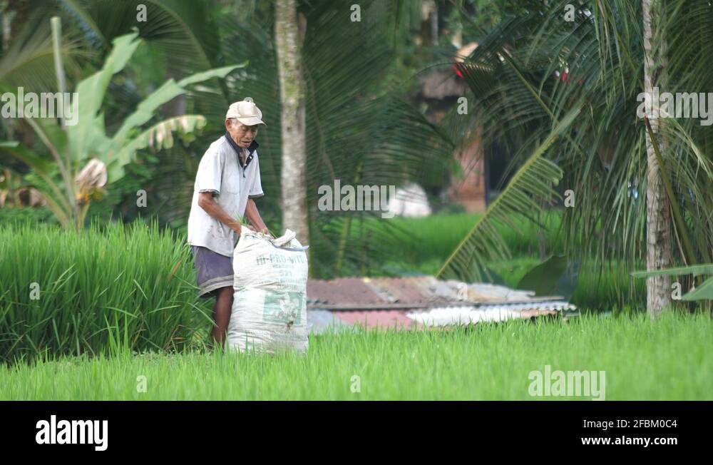 Man dragging bag Stock Videos & Footage - HD and 4K Video Clips - Alamy