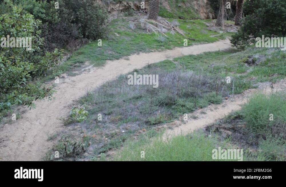 Long distance pathway Stock Videos & Footage - HD and 4K Video Clips ...