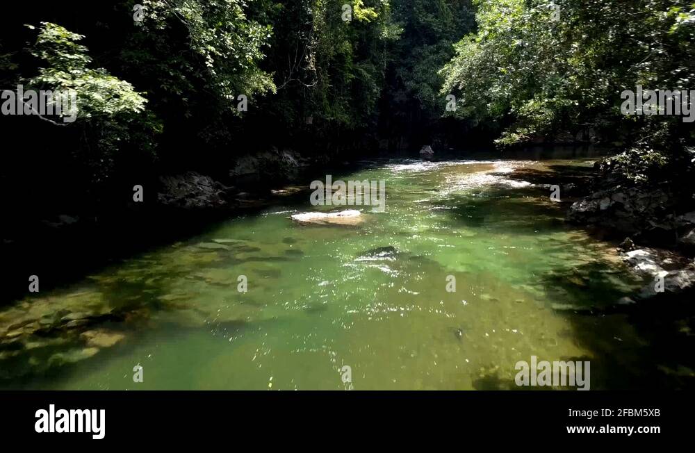 Rio claro Stock Videos & Footage - HD and 4K Video Clips - Alamy