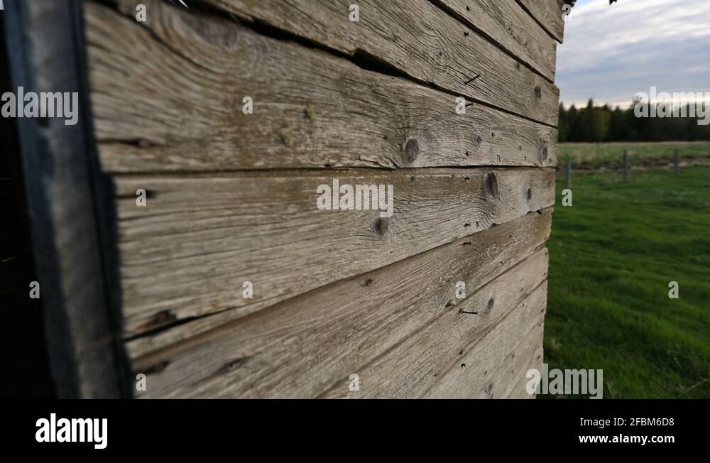 Shed texture Stock Videos & Footage - HD and 4K Video Clips - Alamy