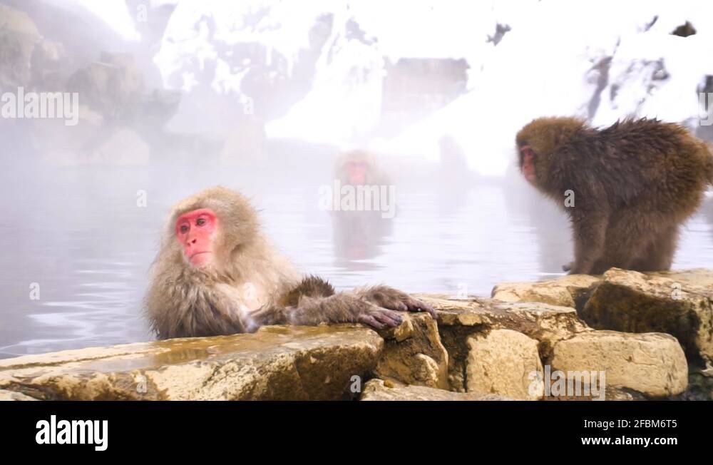 Hot springs bathing Stock Videos & Footage - HD and 4K Video Clips - Alamy