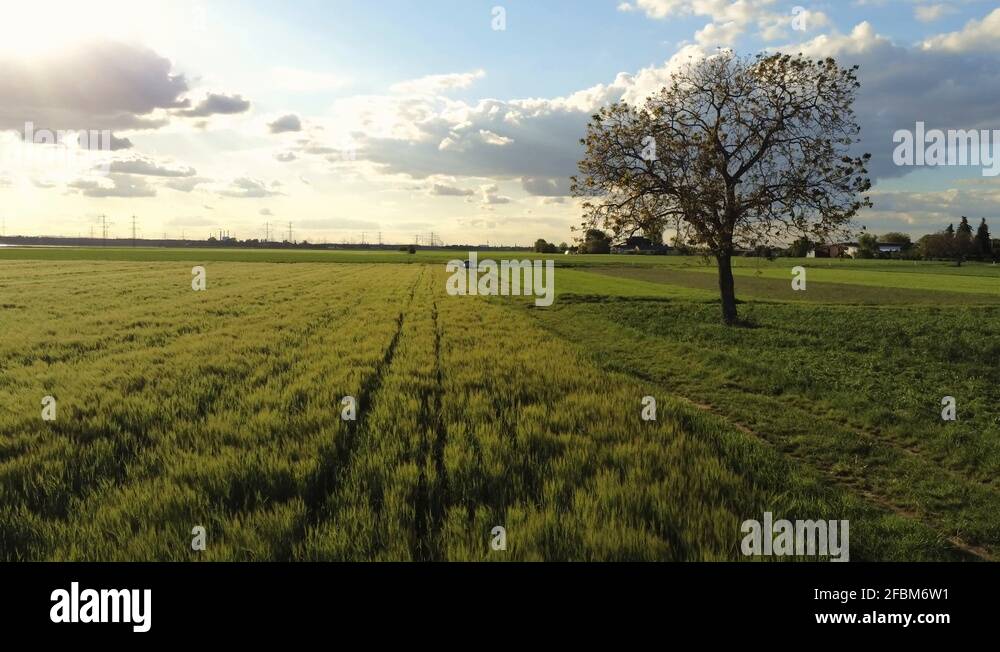 Tree planting on agricultural land Stock Videos & Footage - HD and 4K ...