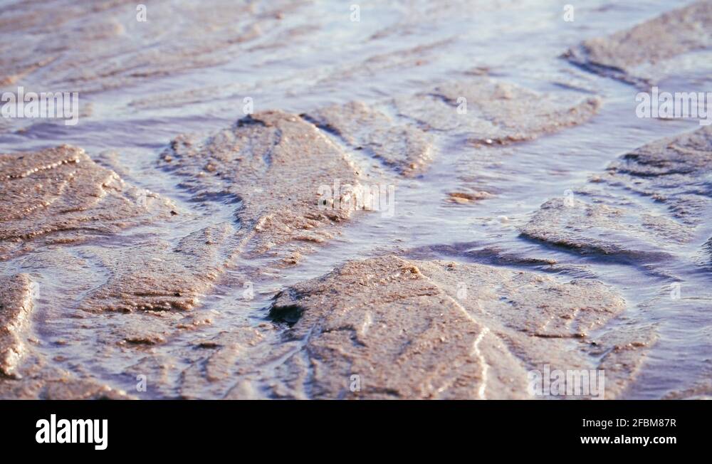 Shallow water on sandy Stock Videos & Footage - HD and 4K Video Clips ...
