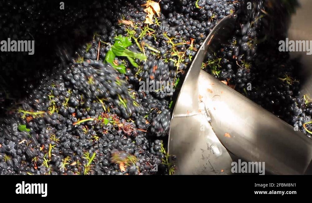 Hopper tanks Stock Videos & Footage - HD and 4K Video Clips - Alamy