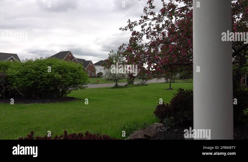 Strong plants Stock Videos & Footage - HD and 4K Video Clips - Alamy