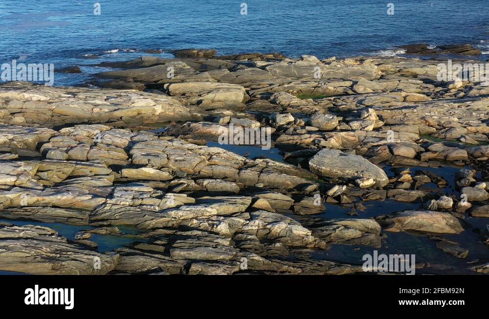 Layers of seaweed Stock Videos & Footage - HD and 4K Video Clips - Alamy