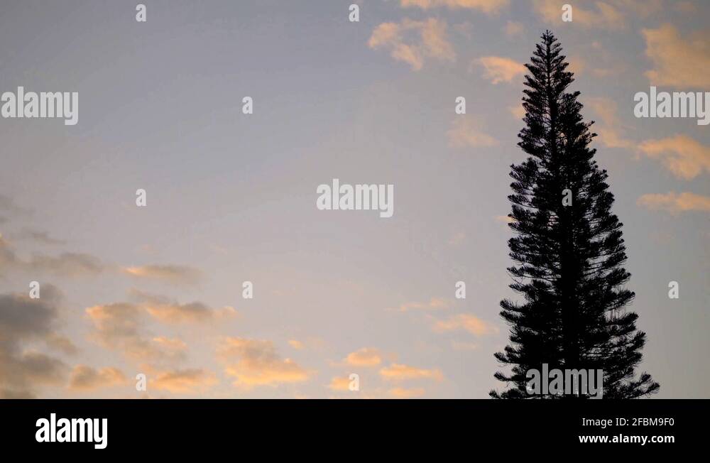 Inching Stock Videos & Footage - HD and 4K Video Clips - Alamy