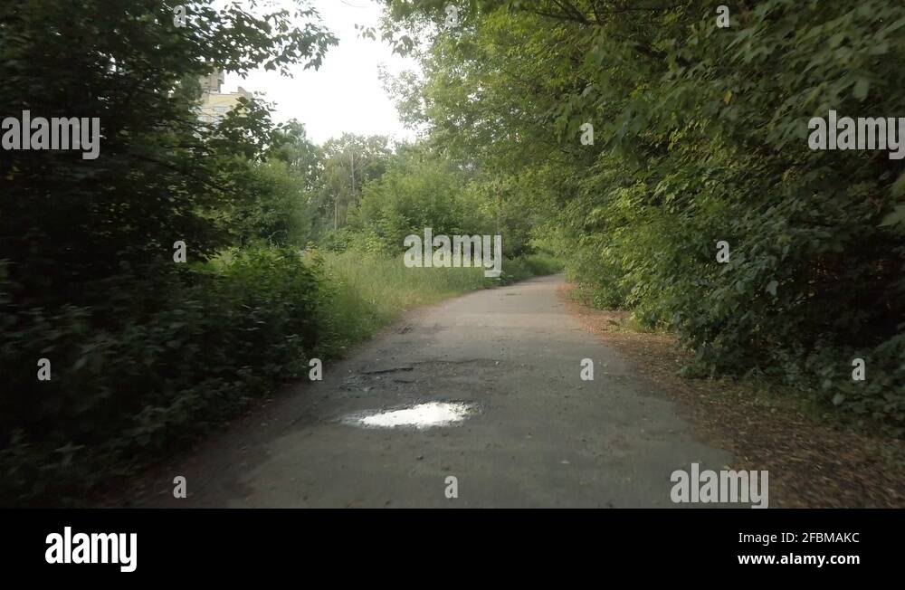 Walking path through lush vegetation Stock Videos & Footage - HD and 4K ...