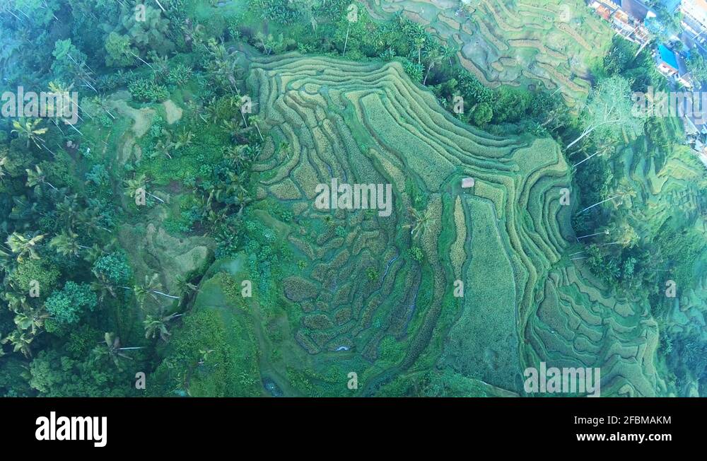 Ariel view fields Stock Videos & Footage - HD and 4K Video Clips - Alamy
