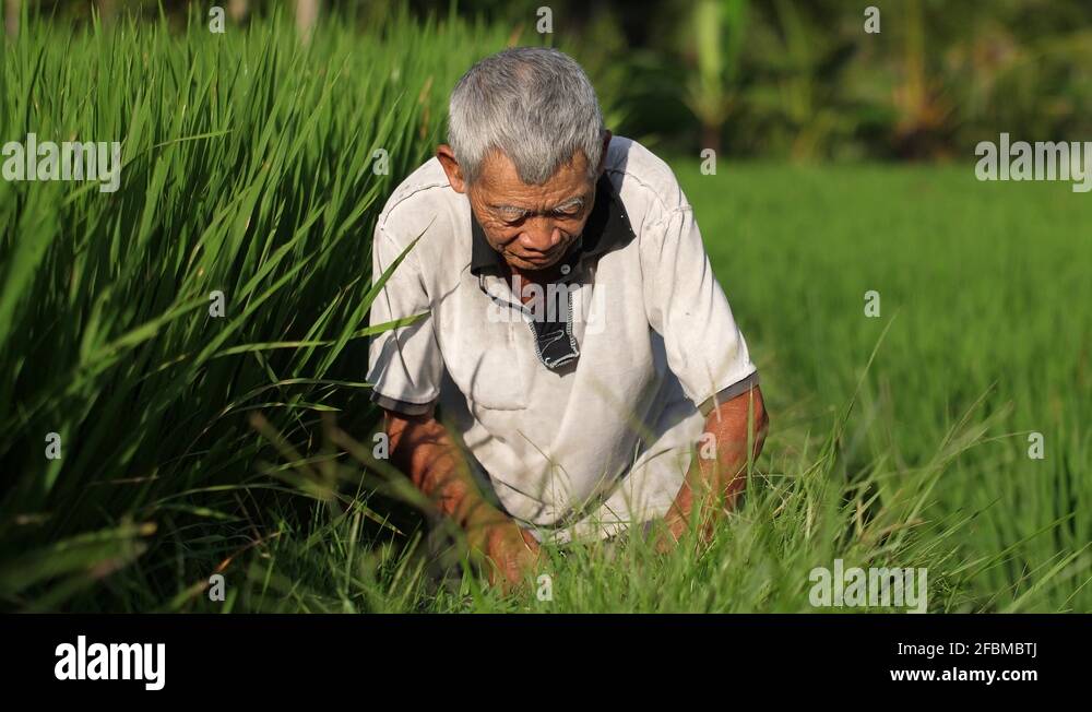 Labor lifestyle Stock Videos & Footage - HD and 4K Video Clips - Alamy