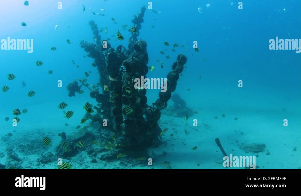 Marine structure Stock Videos & Footage - HD and 4K Video Clips - Alamy