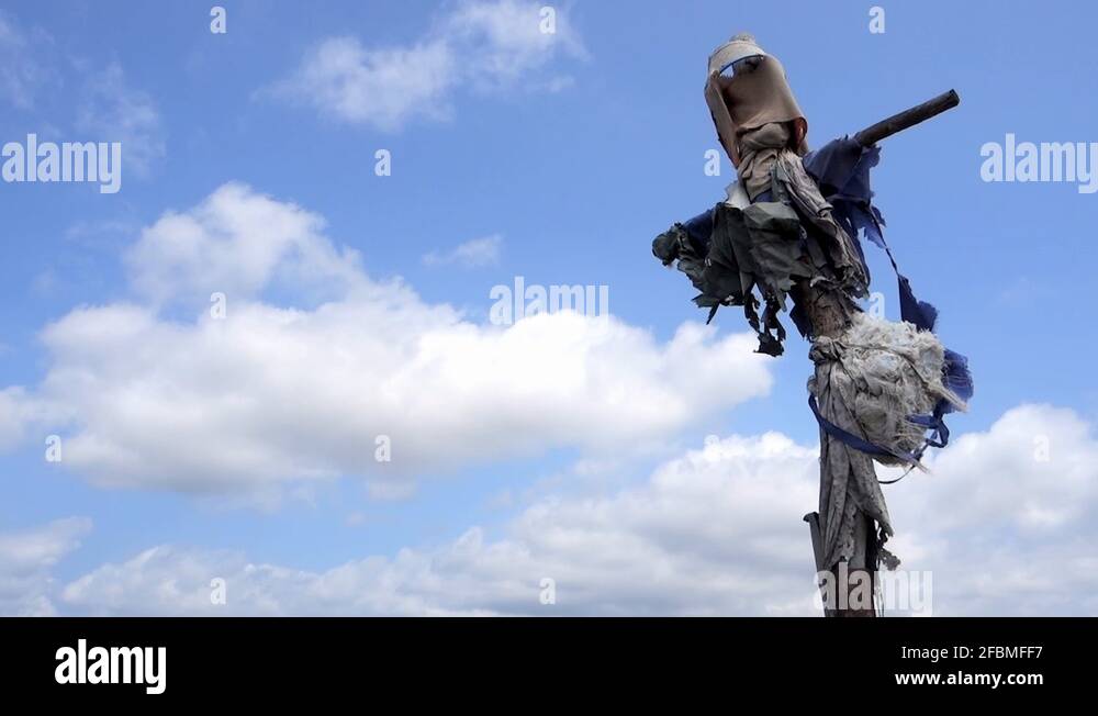 Sky bucket Stock Videos & Footage - HD and 4K Video Clips - Alamy