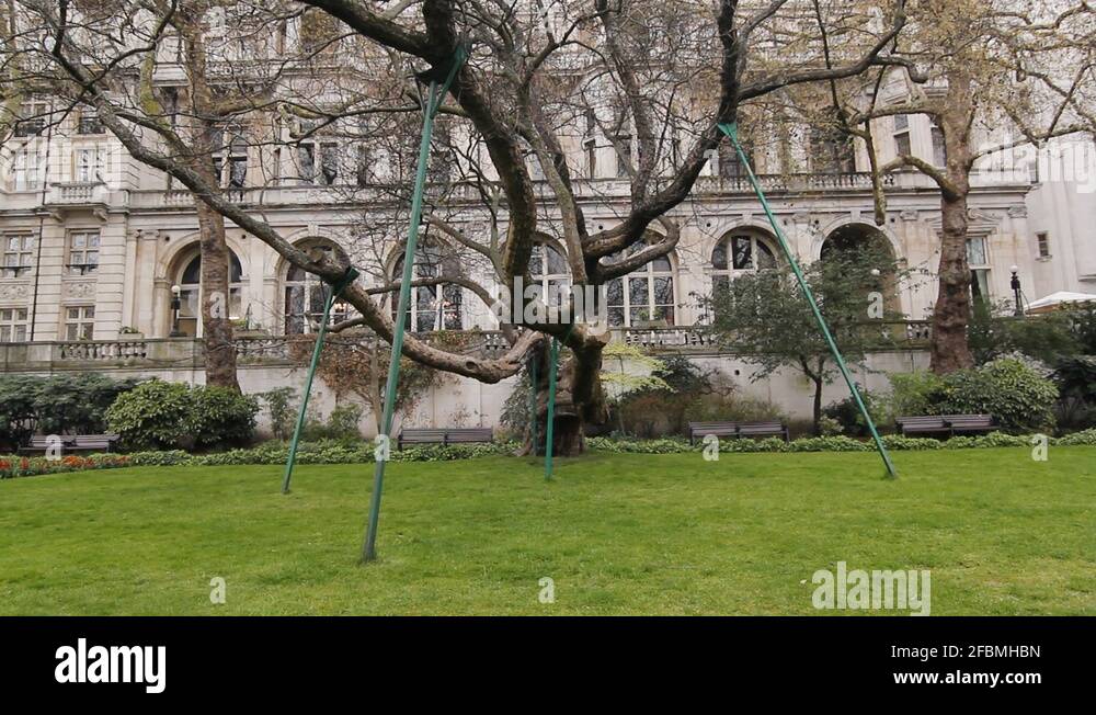 Held up by poles Stock Videos & Footage - HD and 4K Video Clips - Alamy