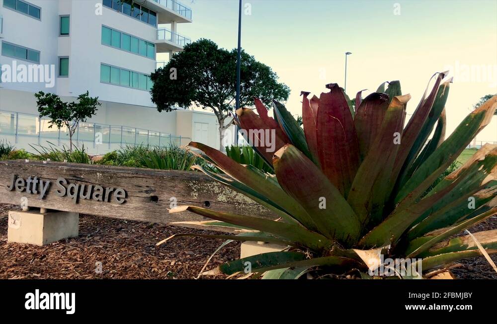 Woody bay Stock Videos & Footage - HD and 4K Video Clips - Alamy