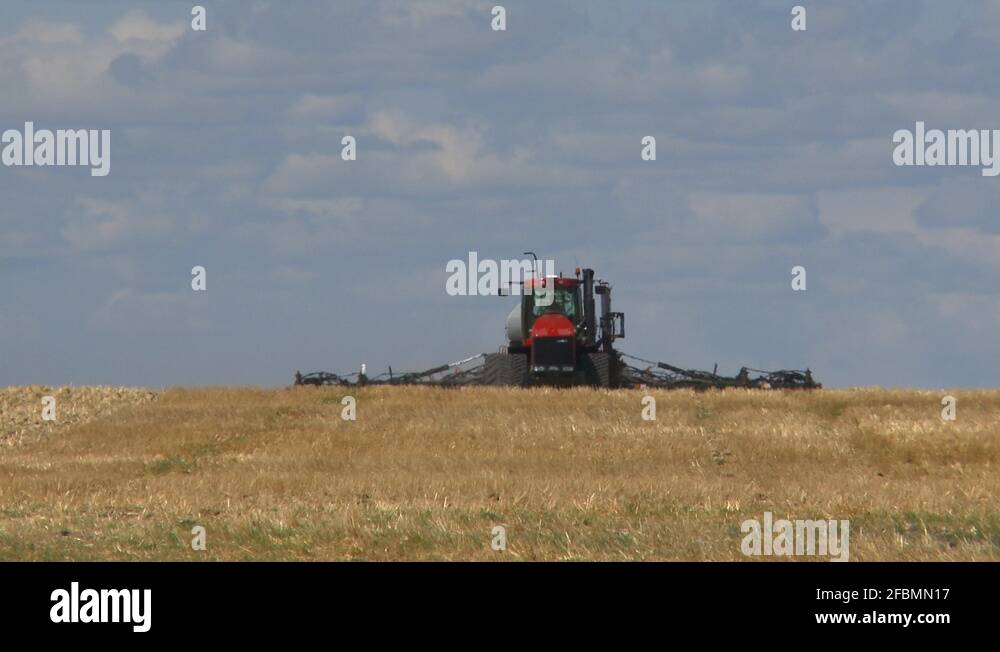 Agriculture, tractor and seeder planting canola, spring long head on ...