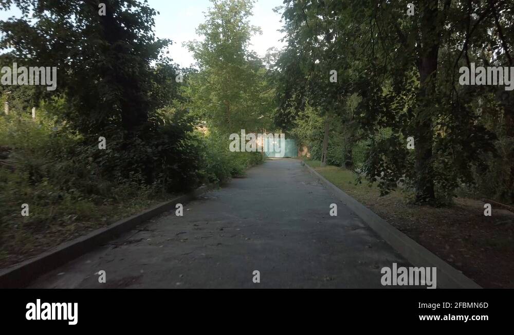 Gate path trees Stock Videos & Footage - HD and 4K Video Clips - Alamy