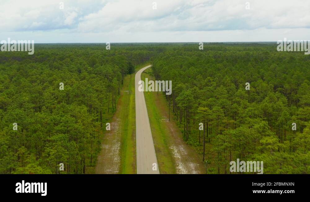 Apalachicola national forest Stock Videos & Footage - HD and 4K Video ...