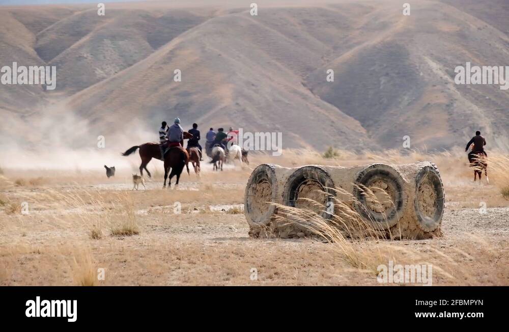 Kokboru Stock Videos & Footage - HD and 4K Video Clips - Alamy