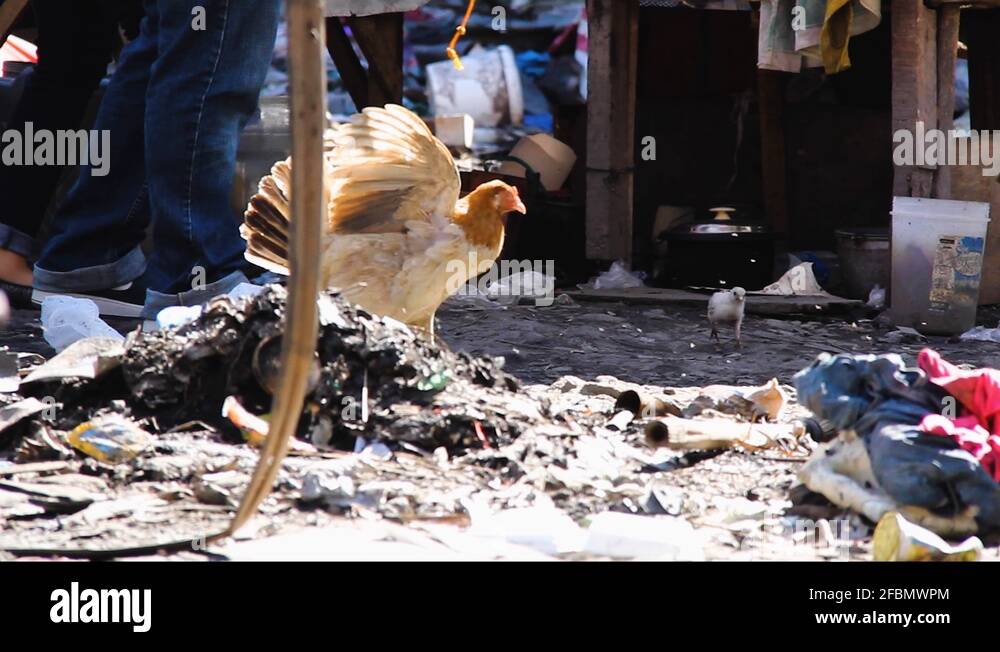 Poor cities Stock Videos & Footage - HD and 4K Video Clips - Alamy