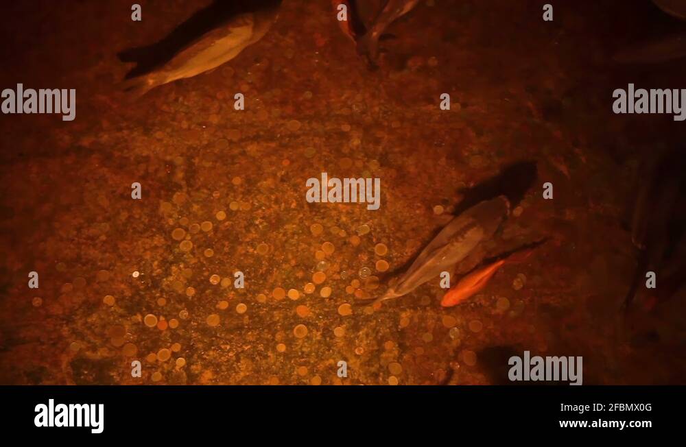 Basilica cistern building Stock Videos & Footage - HD and 4K Video ...