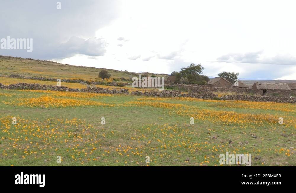 Traditional rural peru Stock Videos & Footage - HD and 4K Video Clips ...
