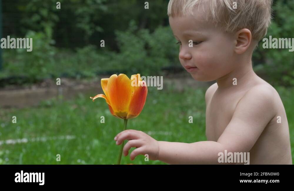 Toddler sniff smell flower Stock Videos & Footage - HD and 4K Video ...