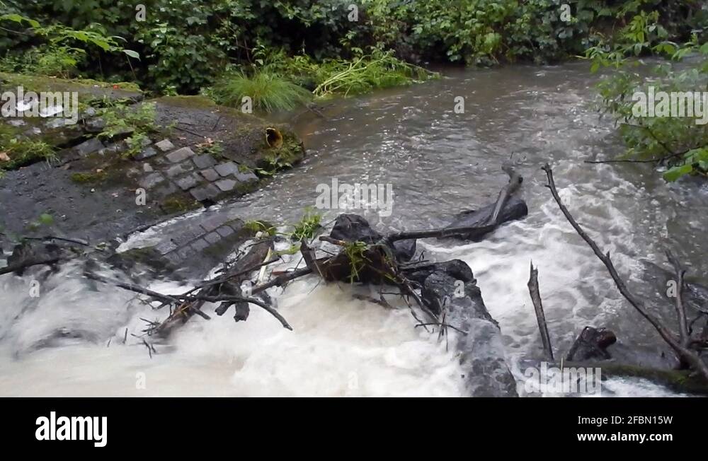 River which has burst its banks Stock Videos & Footage - HD and 4K ... River which has burst its banks Stock Videos & Footage - HD and 4K ...
