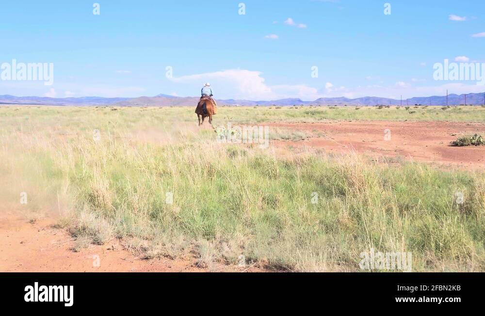 Cowboy riding galloping horse Stock Videos & Footage - HD and 4K Video ...