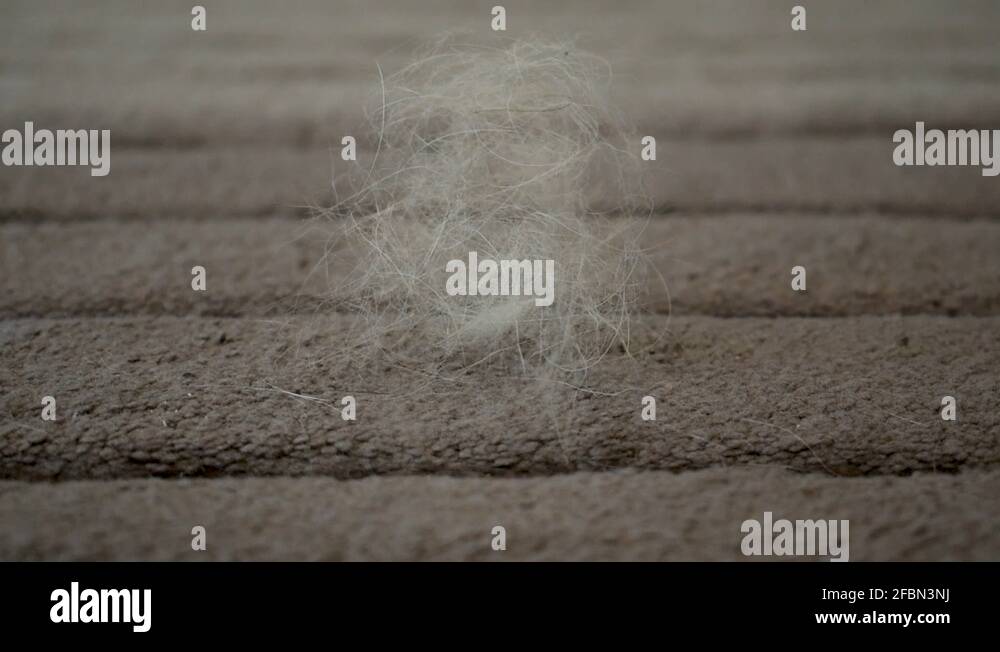 Vacuum ball Stock Videos & Footage - HD and 4K Video Clips - Alamy