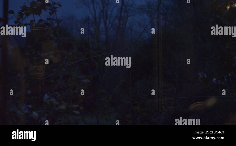 Creepy window of a scary haunted house overlooking a haunted forest ...