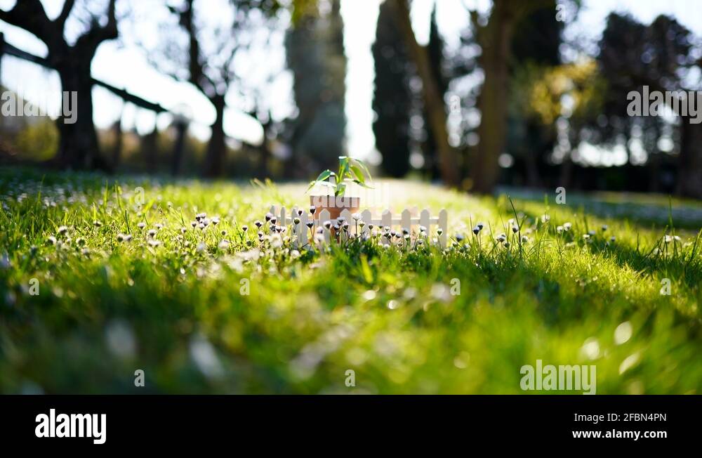 Soil life in earth Stock Videos & Footage - HD and 4K Video Clips - Alamy