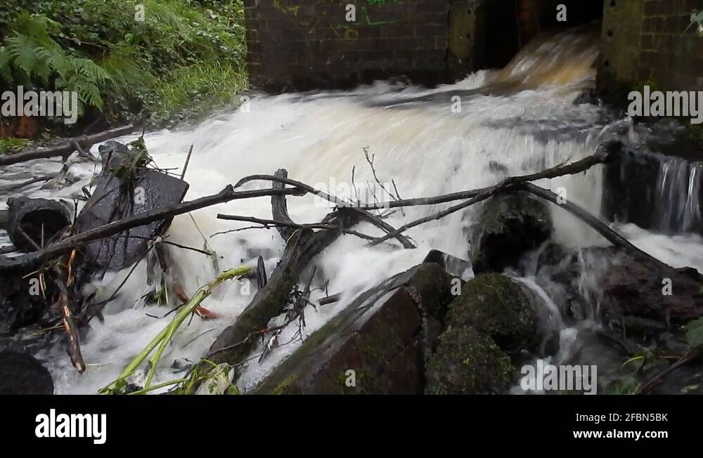 Stream overflow Stock Videos & Footage - HD and 4K Video Clips - Alamy